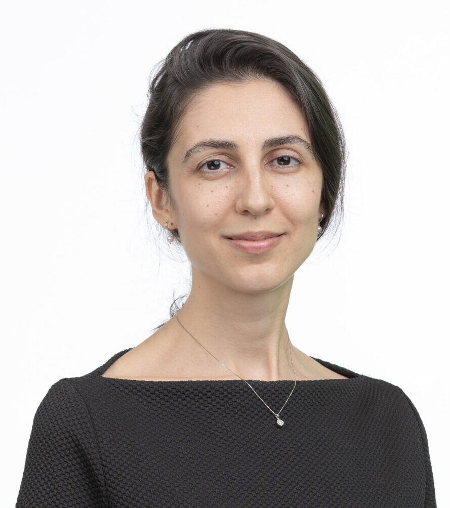 Geanina Bujoreanu - RSIS