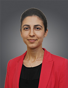 Geanina Bujoreanu - RSIS