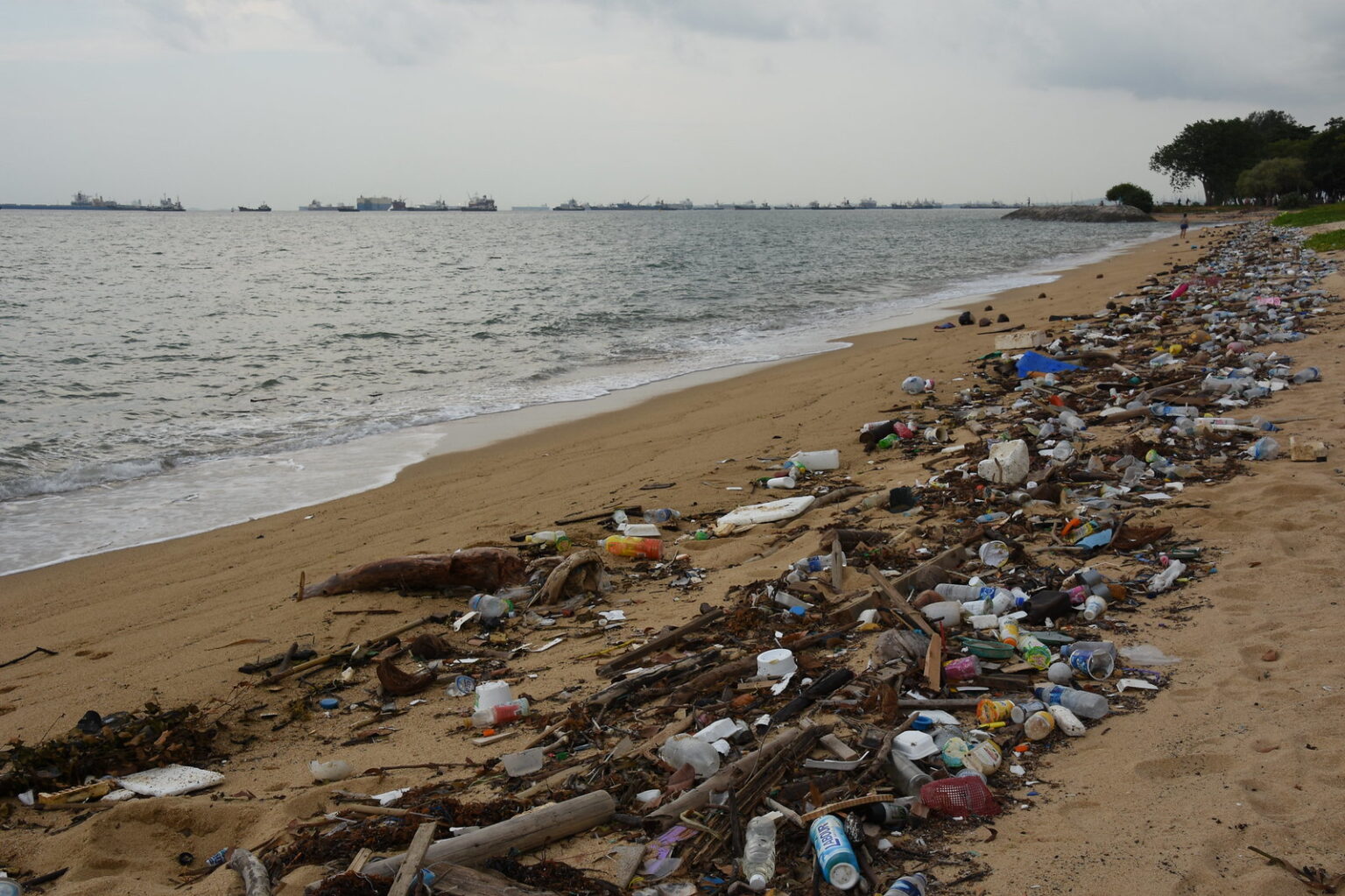 Plastic Pollution in Southeast Asia: Wasted Opportunity? - RSIS