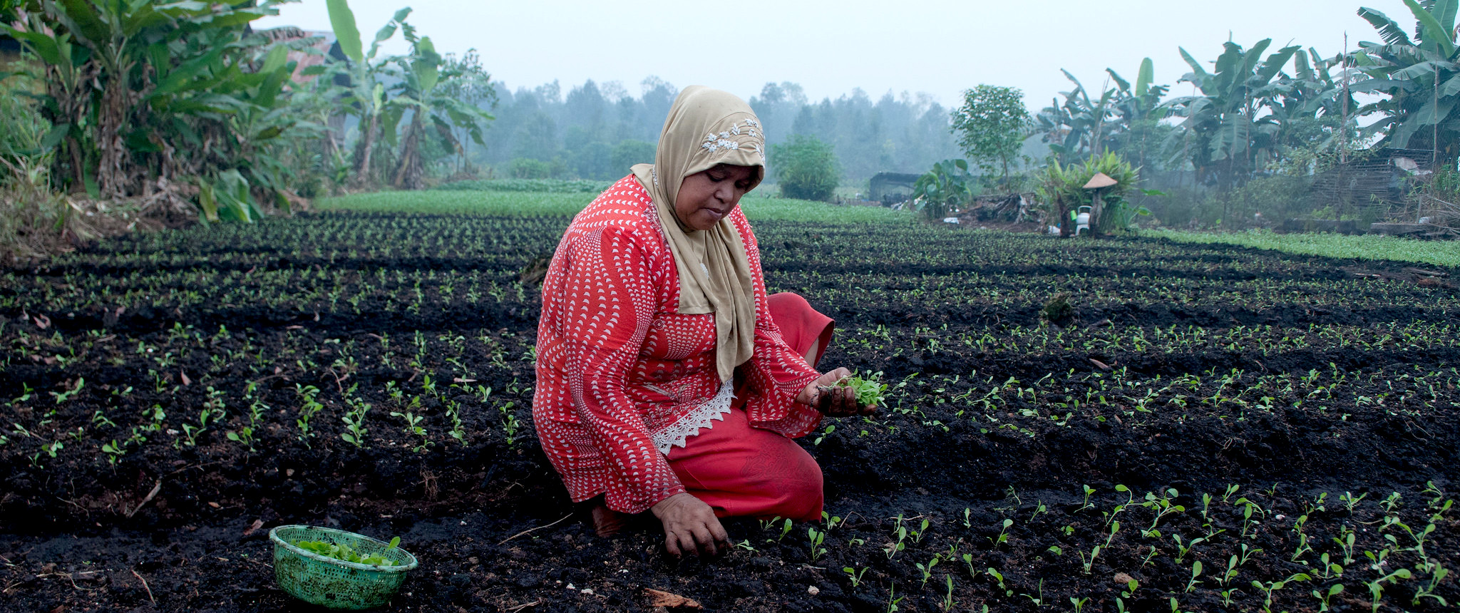 NTS Bulletin April 2024 - RSIS